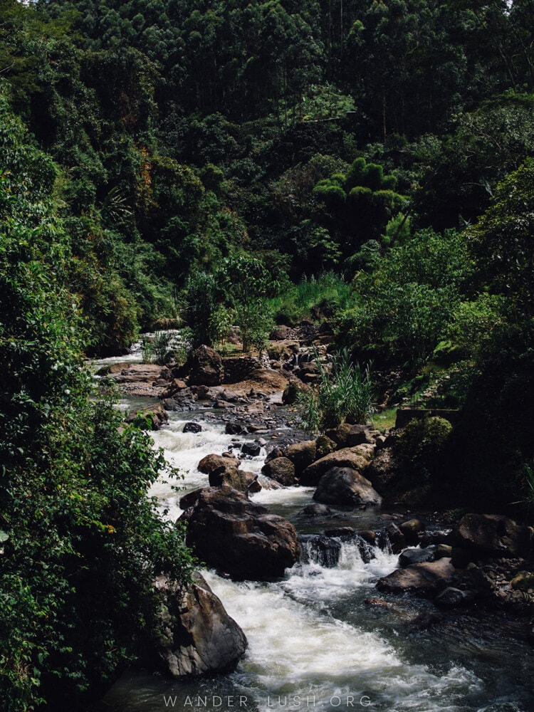 44张照片激励你去哥伦比亚的花园旅游 - 必赢电子娱乐