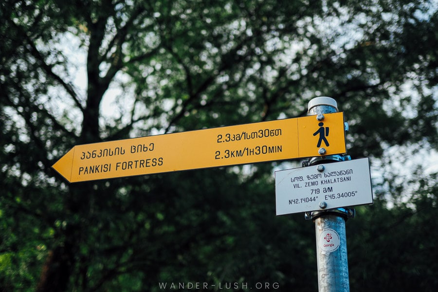 在Pankisi山谷要做的21件事:详细的旅行指南 - 必赢电子娱乐