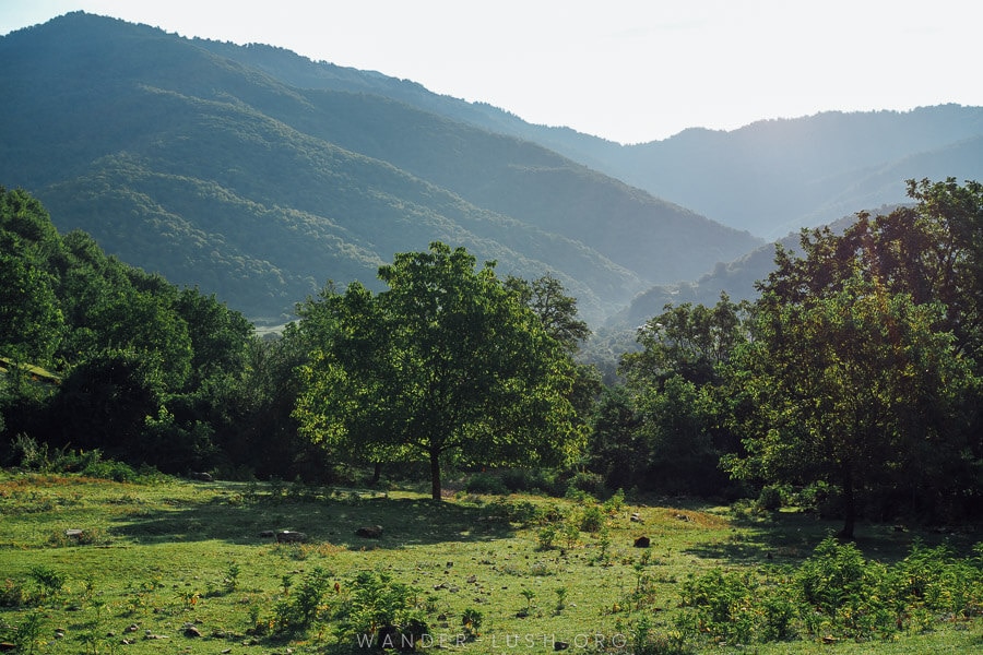 在Pankisi山谷要做的21件事:详细的旅行指南 - 必赢电子娱乐