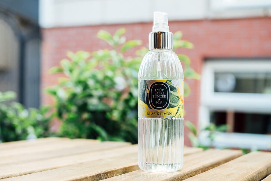 42 Istanbul Travel Tips for First-time Visitors - 必赢电子娱乐